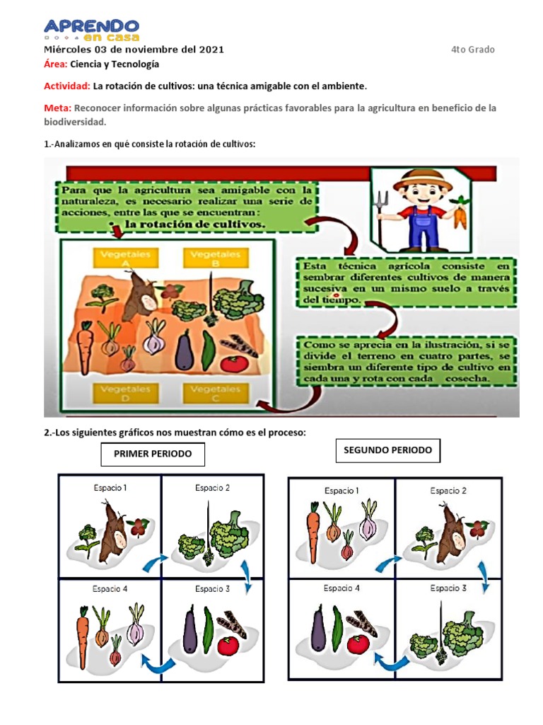 Rotación de Cultivos para 4to Grado | PDF | Agricultura | Suelo