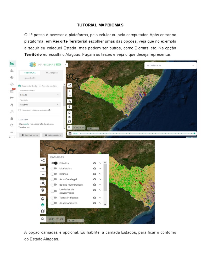 TUTORIAL - MAPA NO MAPBIOMAS | PDF