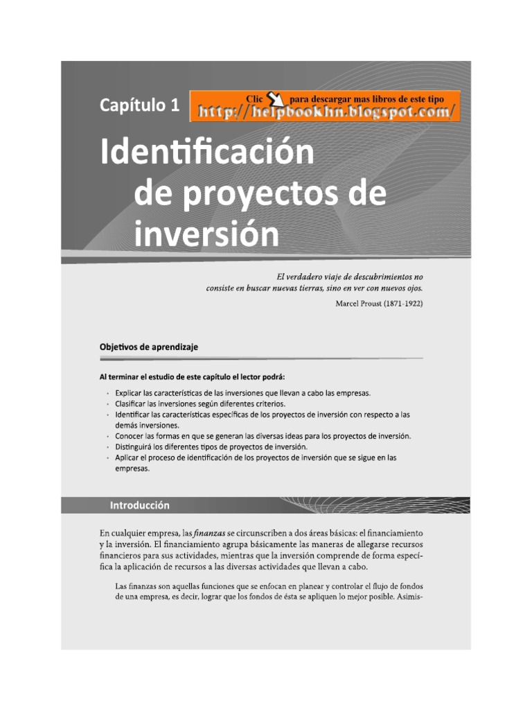 Capitulo 1. Identificación de Proyectos de Inversión | PDF