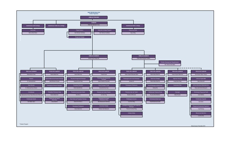BNM Org Structure BM | PDF