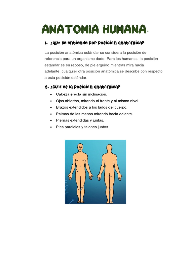 Posiciones Anatomicas | PDF