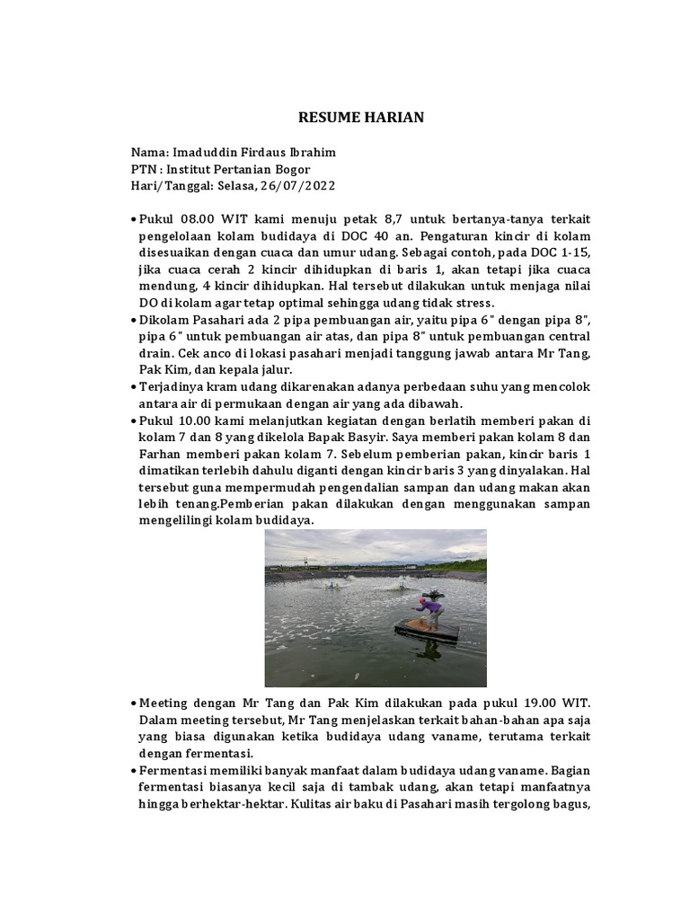Resume 26-07-2022 Imaduddin Firdaus Ibrahim | PDF