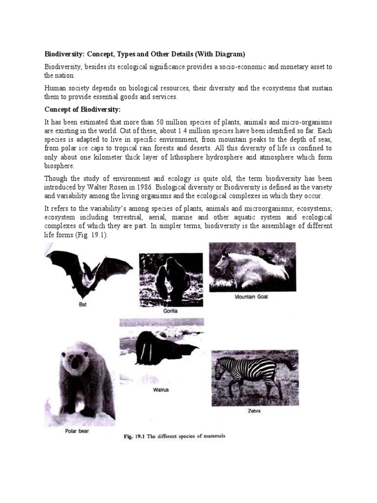 Biodiversity | PDF | Biodiversity | Ecosystem
