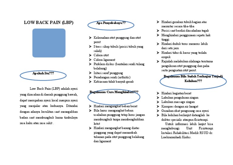 Leaflet Low Back Pain | PDF