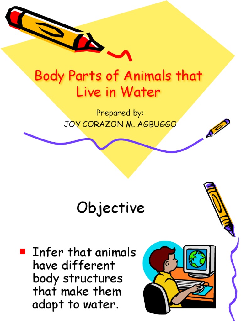 Aquatic Animals and Their Body Parts | PDF | Self-Improvement | Wellness