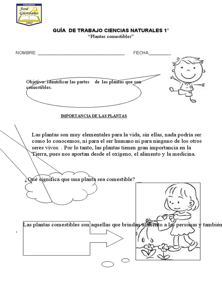 Partes Comestibles de las Plantas | PDF