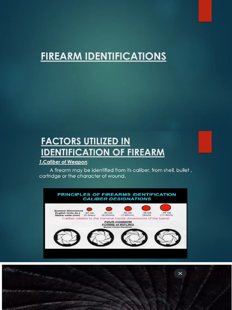 firearms_identification(4) | PDF