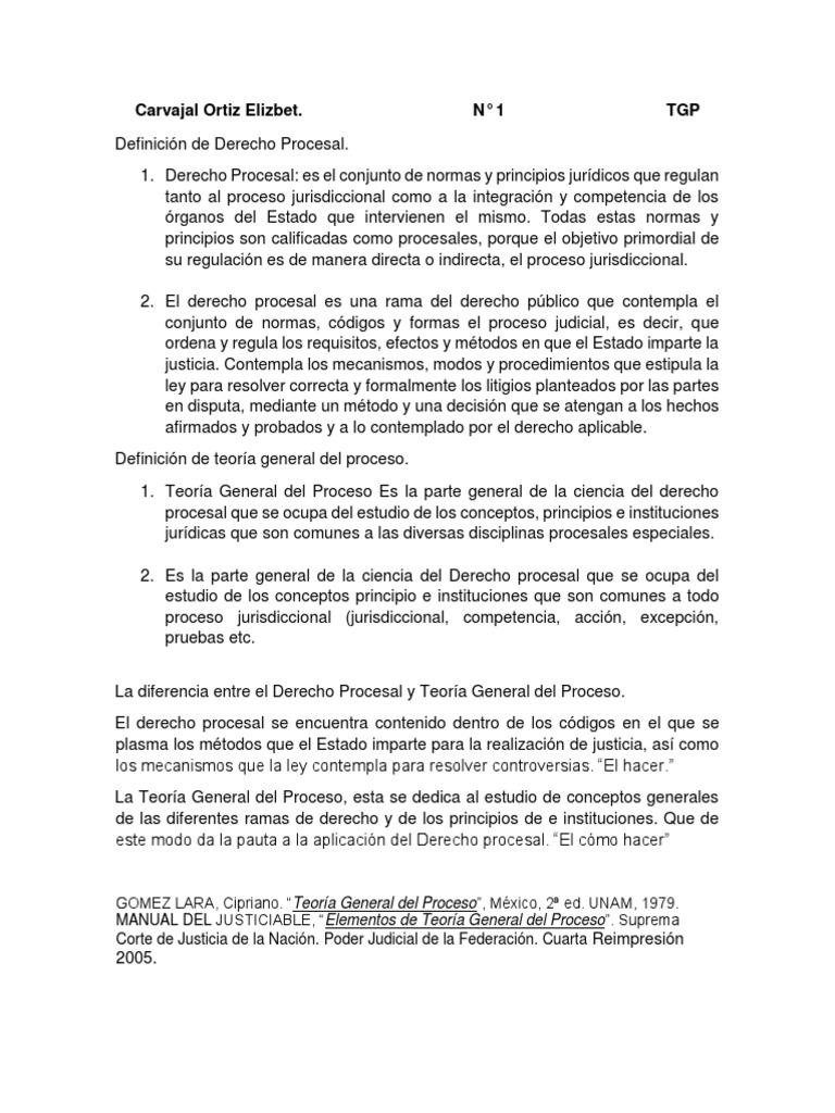 Tarea N°1 TGP | PDF