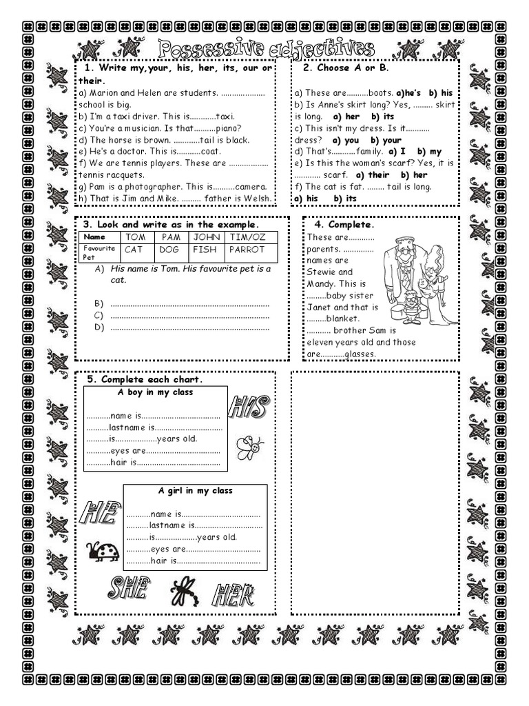Possessive Adjectives | PDF | Domesticated Animals