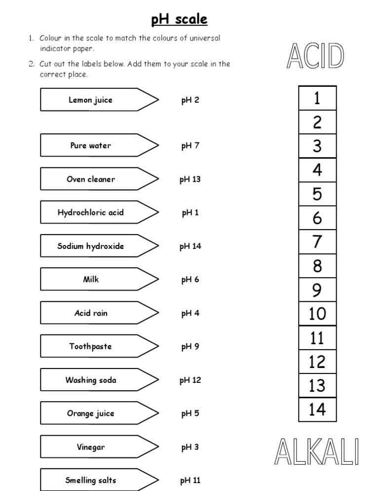PH Scale Worksheet | PDF