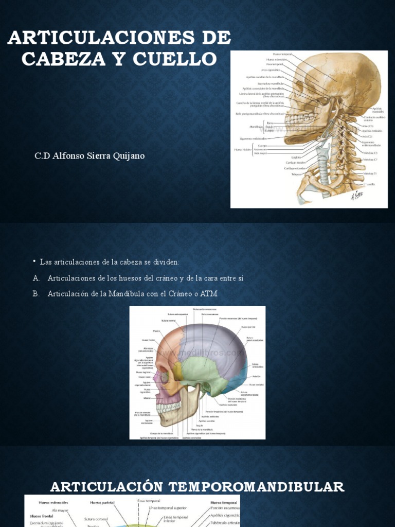 Articulaciones de Cabeza y Cuello | PDF