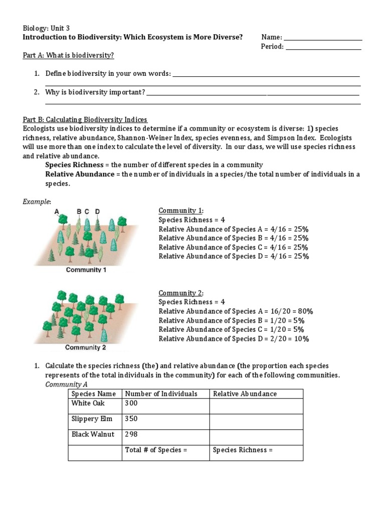 Biodiversity Worksheet | PDF | Species | Biodiversity