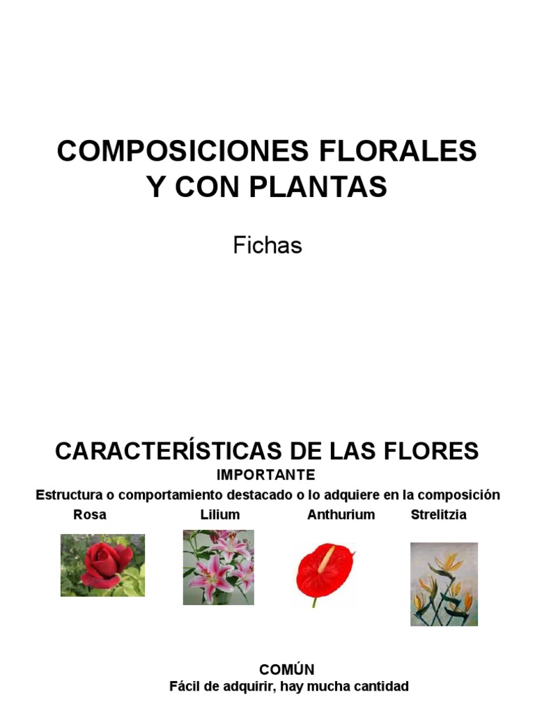 UD2 1 Fichas | PDF