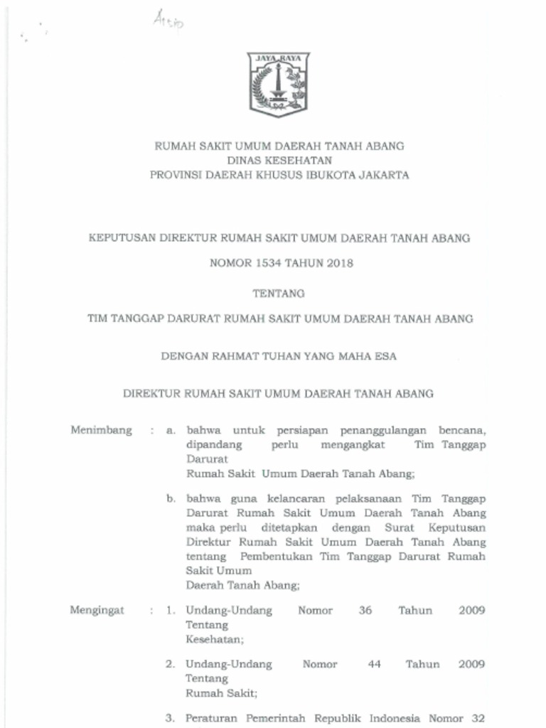 SK Tim Penanggulangan Bencana Di Rumah Sakit | PDF