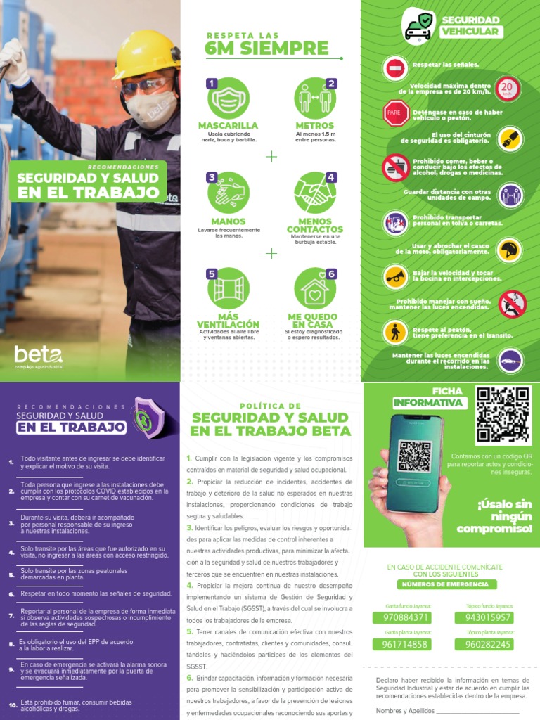 Triptico - SSII | PDF | Seguridad y salud ocupacional | Ciencias de la ...