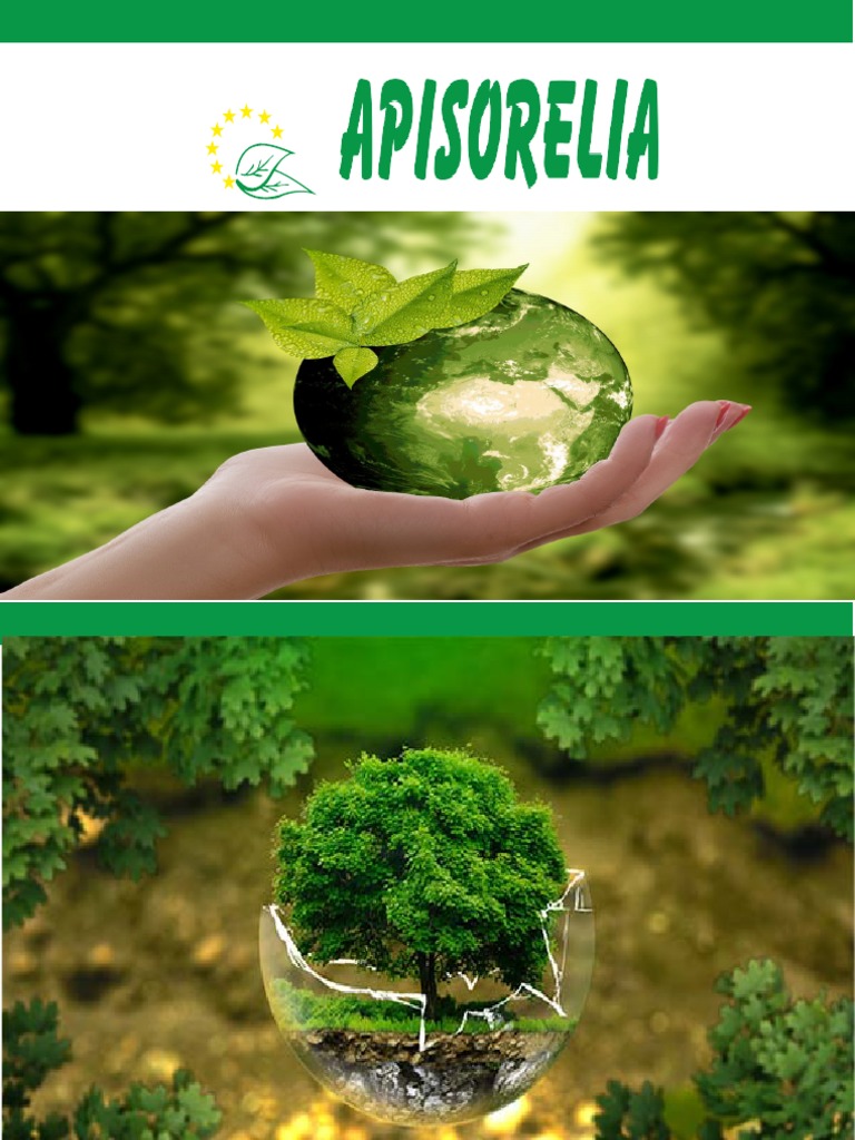 APISORELIA: Industrial Waste Management | PDF | Soil | Waste