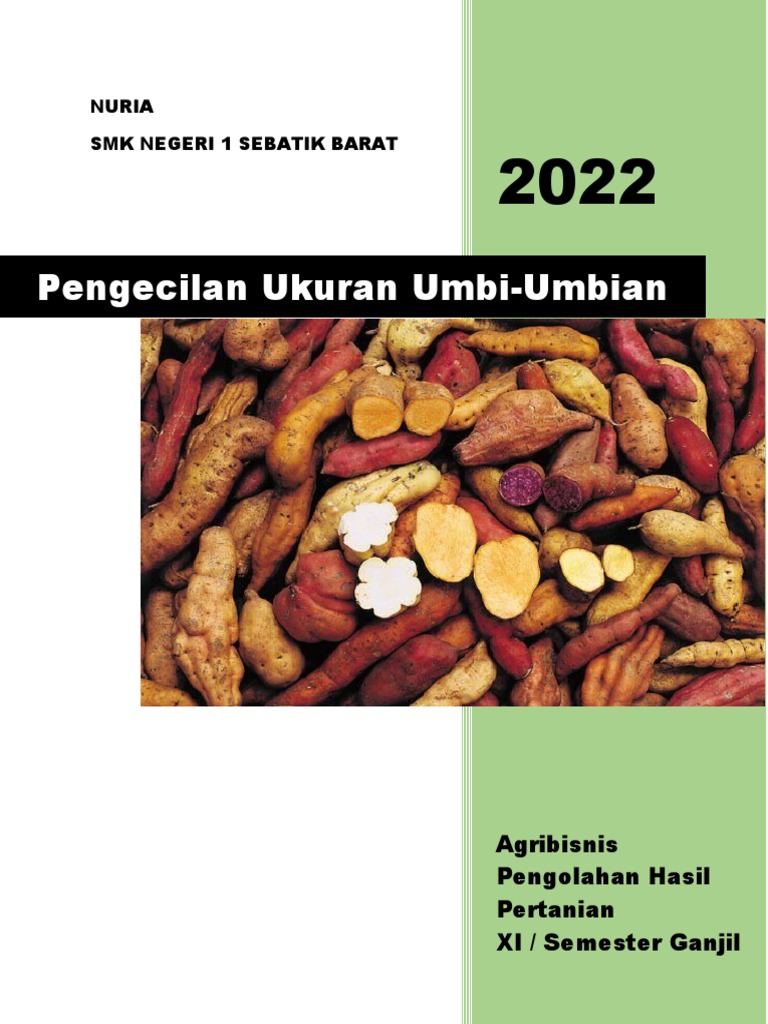 Modul Pengecilan Ukuran | PDF