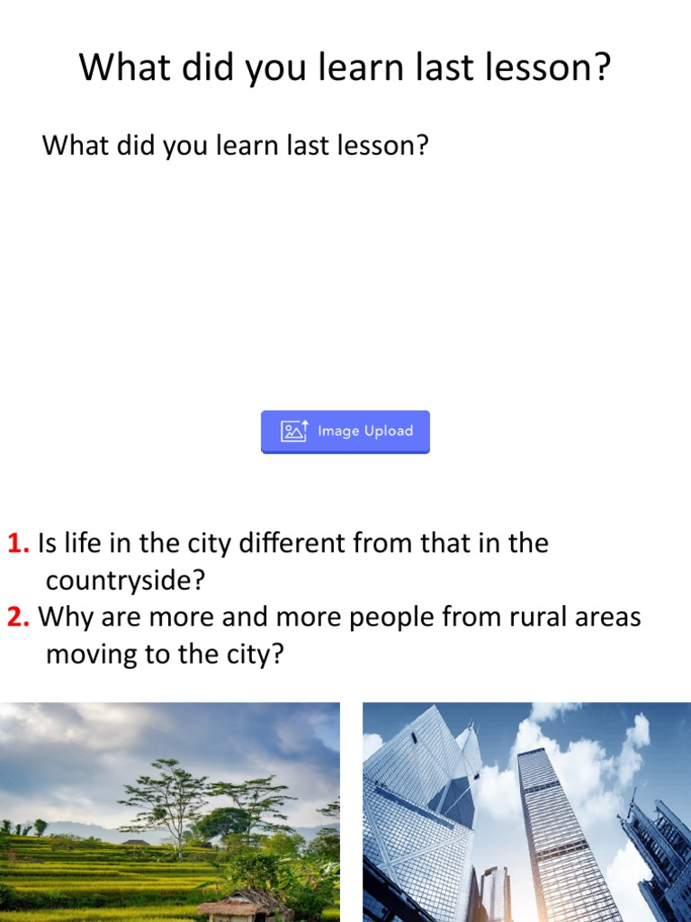 Understanding Urbanization Causes and Effects | PDF | Urbanization | City