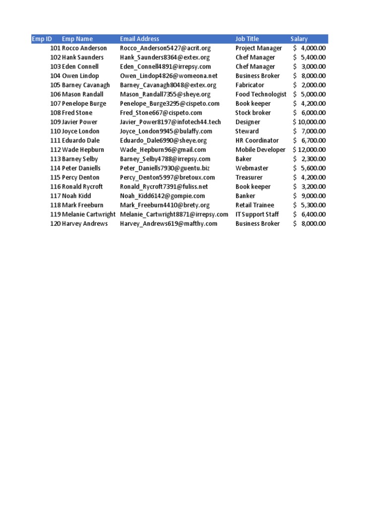 Employee details including names, emails, job titles and salaries | PDF