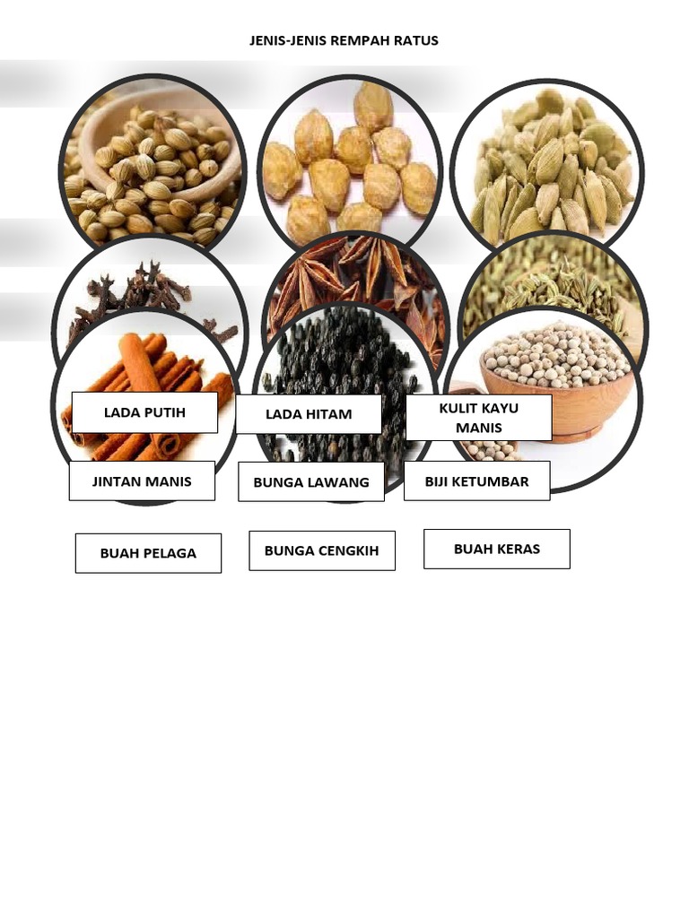 Jenis-Jenis Rempah Ratus | PDF