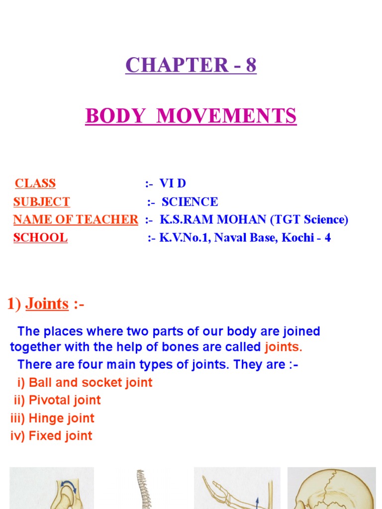 A Quick Representation of Body Movements | Download Free PDF | Skeleton ...