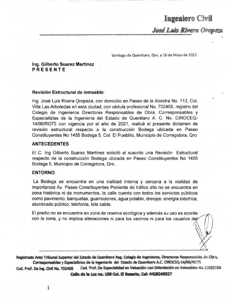 Estructura De Un Dictamen Estructural De Proteccion