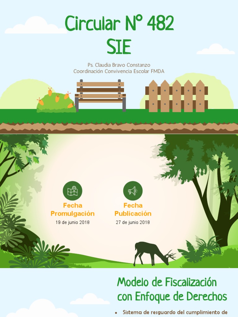 RI - Circular 482 | PDF | Regulación | Abuso infantil