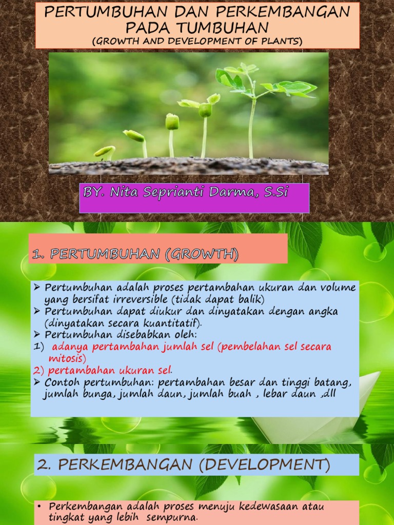 Materi 1. Pertumbuhan Dan Perkembangan PD Tumbuhan | PDF