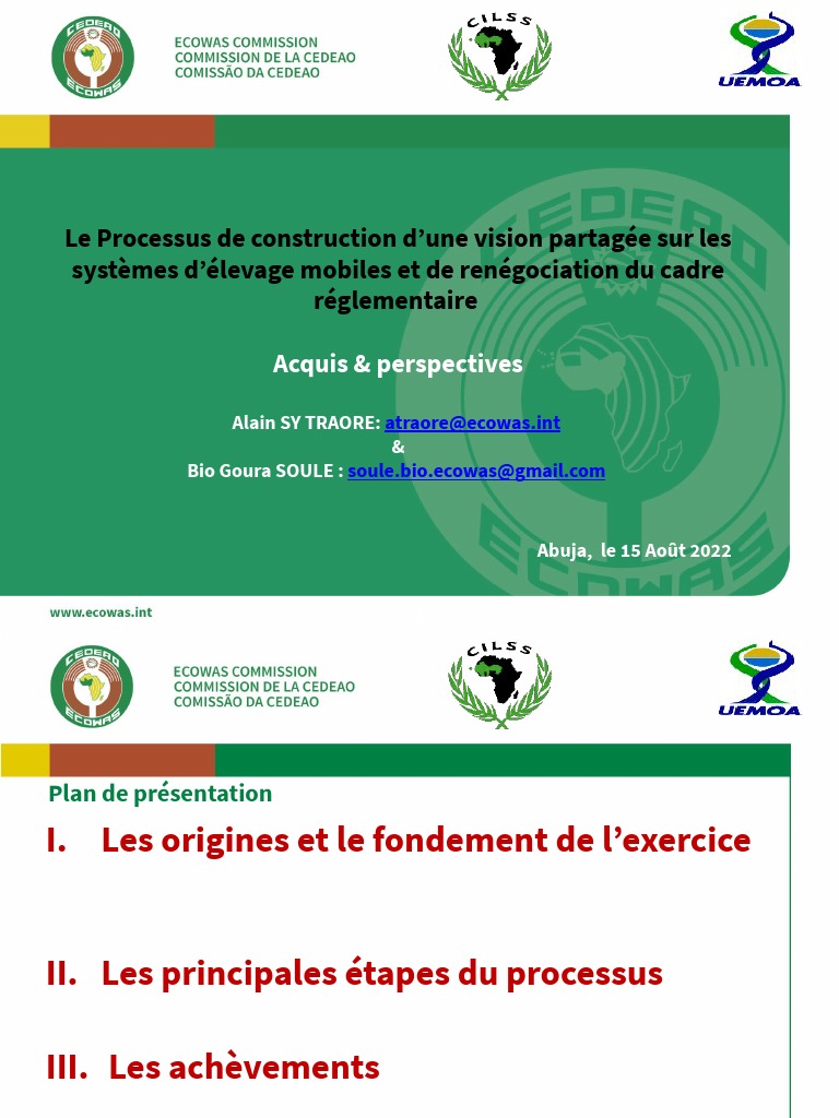 Processus de Formulation de La Stratégie Régionale Elevage Et ...