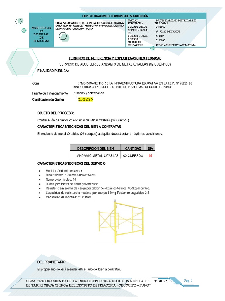 FORMATO TDR Andamios | PDF | Andamio