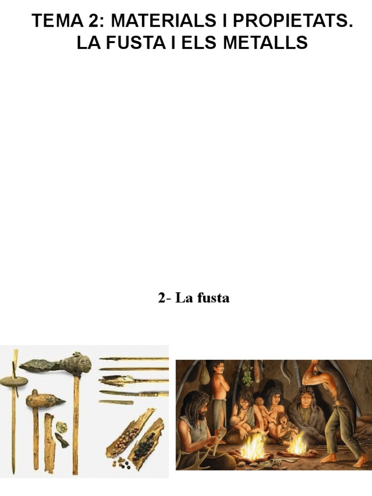 TEMA 2 LA FUSTA | PDF