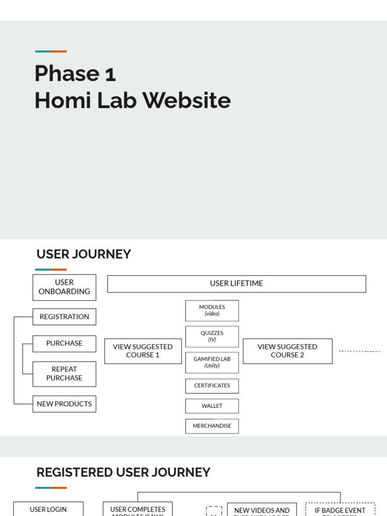 Phase 1 - Homi Lab | PDF | Information Age | Software Development