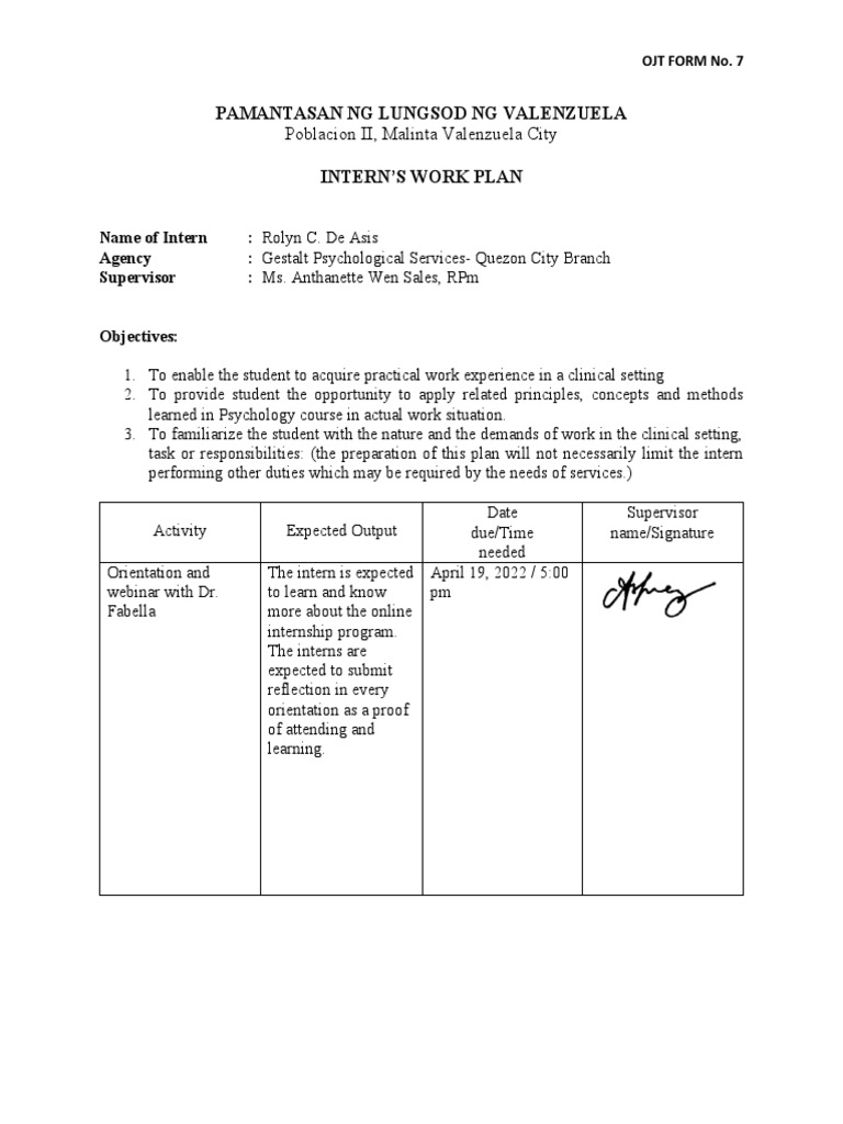 INTERNS-WORK-PLAN | PDF | Internship | Job Hunting