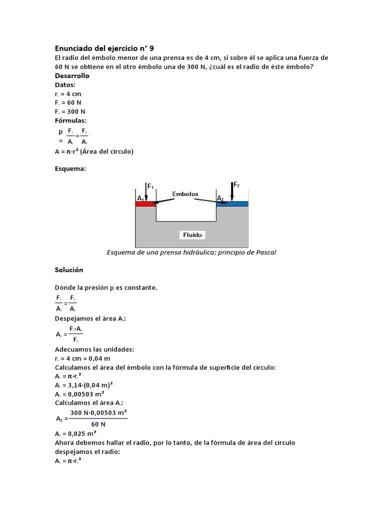 Taller de Principio de Pascal | PDF | Pascal (Unidad) | Cantidad