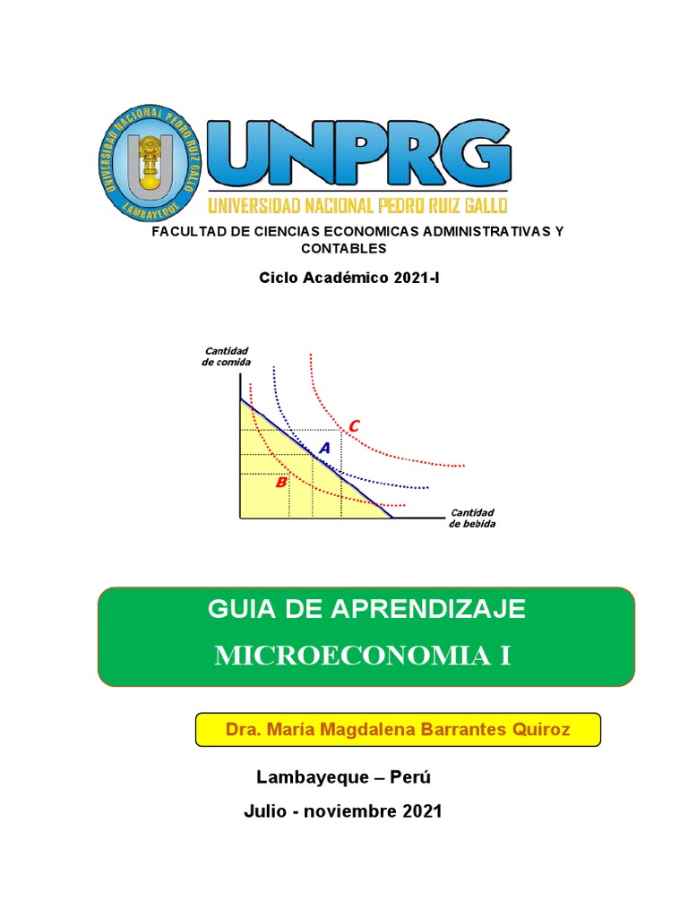 Guia Microi | PDF | Evaluación | Mercado (economía)