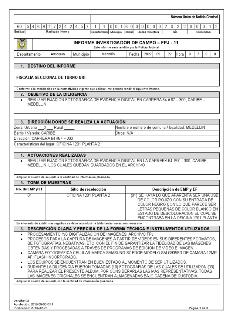 FPJ-11-Informe-Investigador-de-Campo-V - SM | PDF