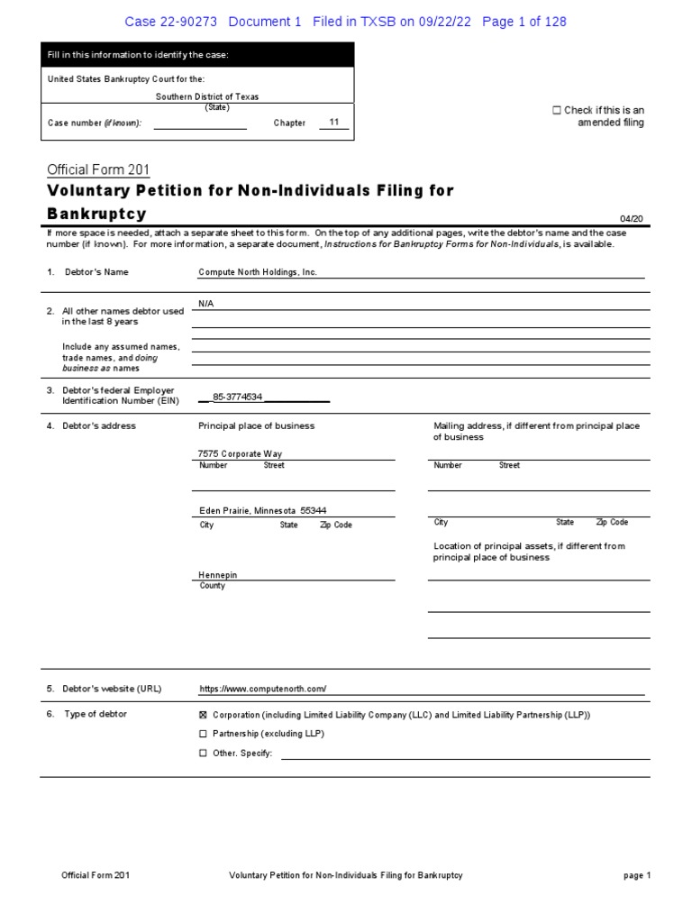 Voluntary Petition For Non-Individuals Filing For Bankruptcy | PDF | Chapter 11 | Bankruptcy