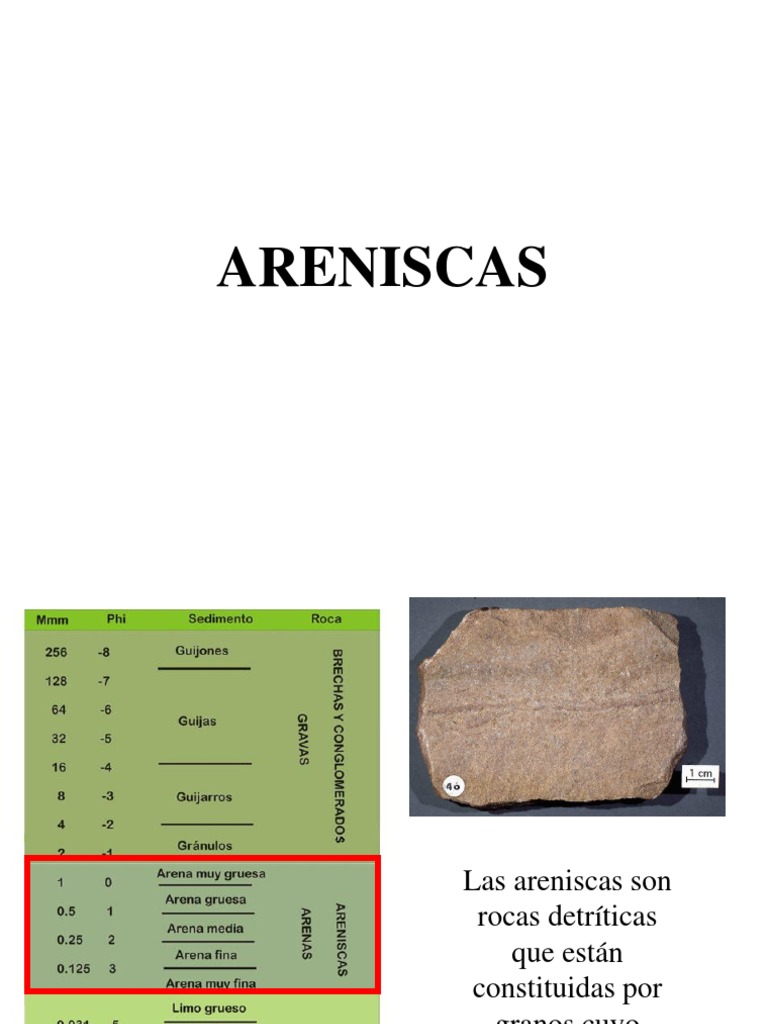 Areniscas | PDF | Cuarzo | Roca (geología)