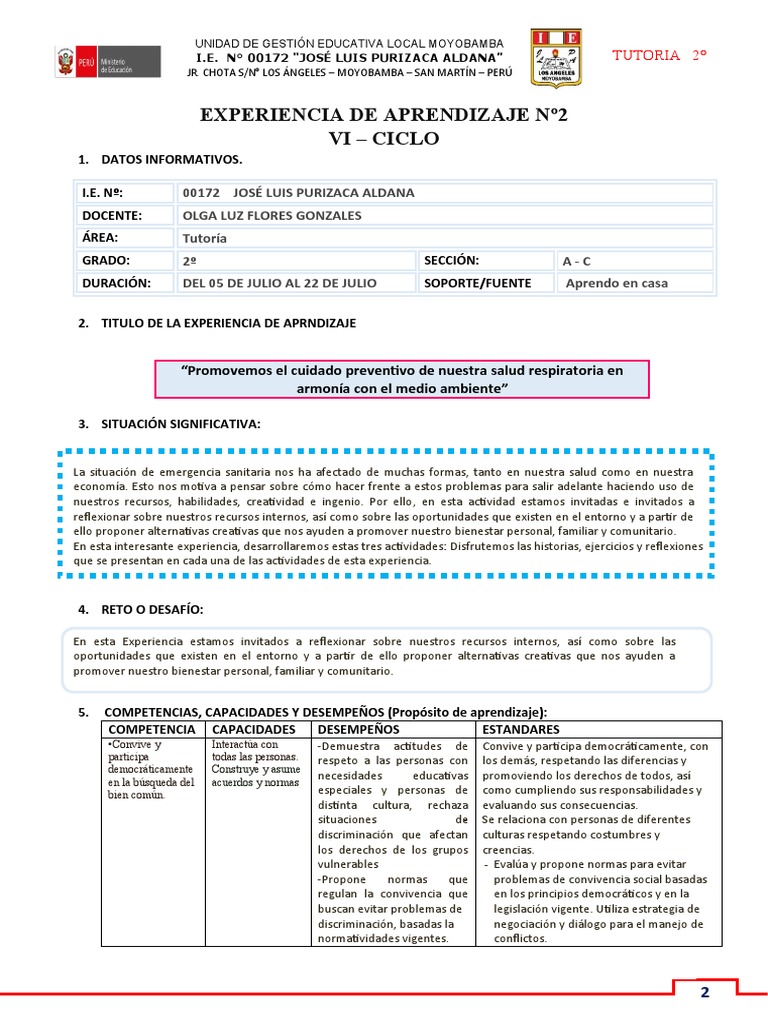 Experiencia 2 Tutoría 2° | PDF | Salud mental | Aprendizaje