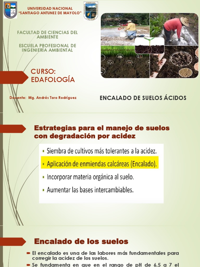 S - 10 Encalado de Suelos Agrícolas | PDF | Hogar, jardinería y ...