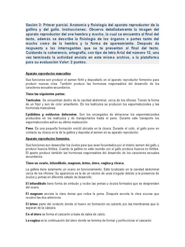 Anatomía y Fisiología Reproductora de Aves | PDF | Sistema reproductivo ...