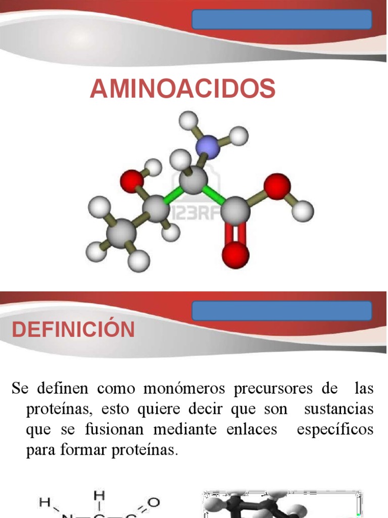 Los fundamentos de los aminoácidos | PDF | Aminoácidos | Química