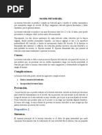 Anatomía del Escroto y Testículos | PDF | Testículo | Especialidades ...