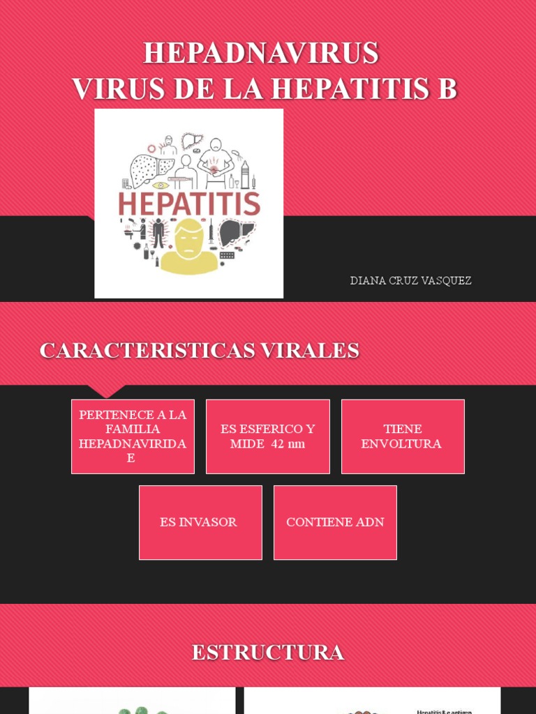 HEPADNAVIRUS | PDF