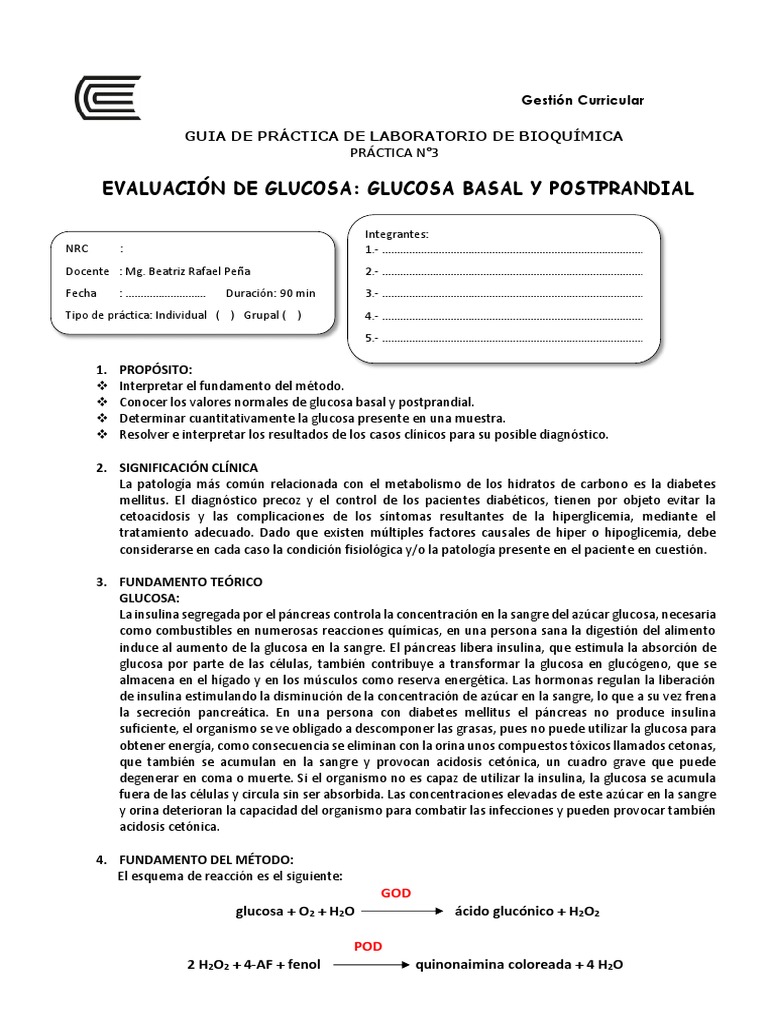 Evaluación de Glucosa Basal y Postprandial | PDF | Insulina | Digestión