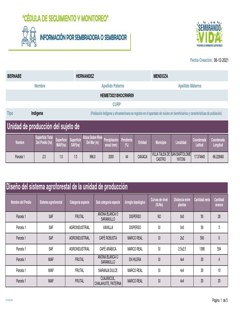 Bernabe Hernandez | PDF | Plantas | Comida y bebida