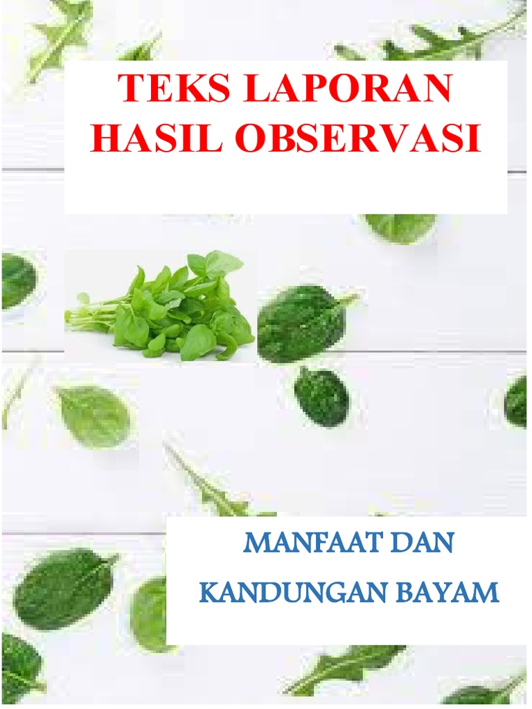 Observasi Bayam | PDF | Sains & Matematika