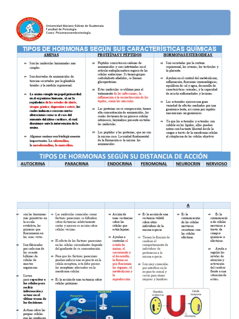 Cuadro Comparativo | PDF | Hormona | Sistema endocrino Cuadro Comparativo | PDF | Hormona | Sistema endocrino
