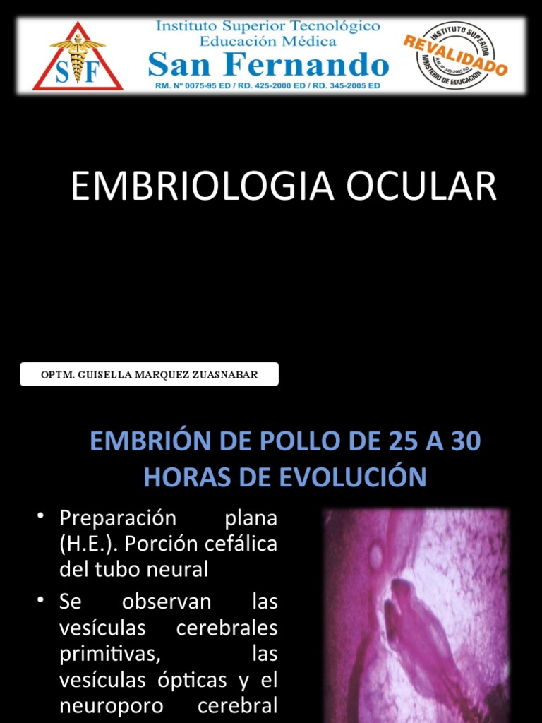 Embriologia Ocular | PDF | Ojo humano | Córnea