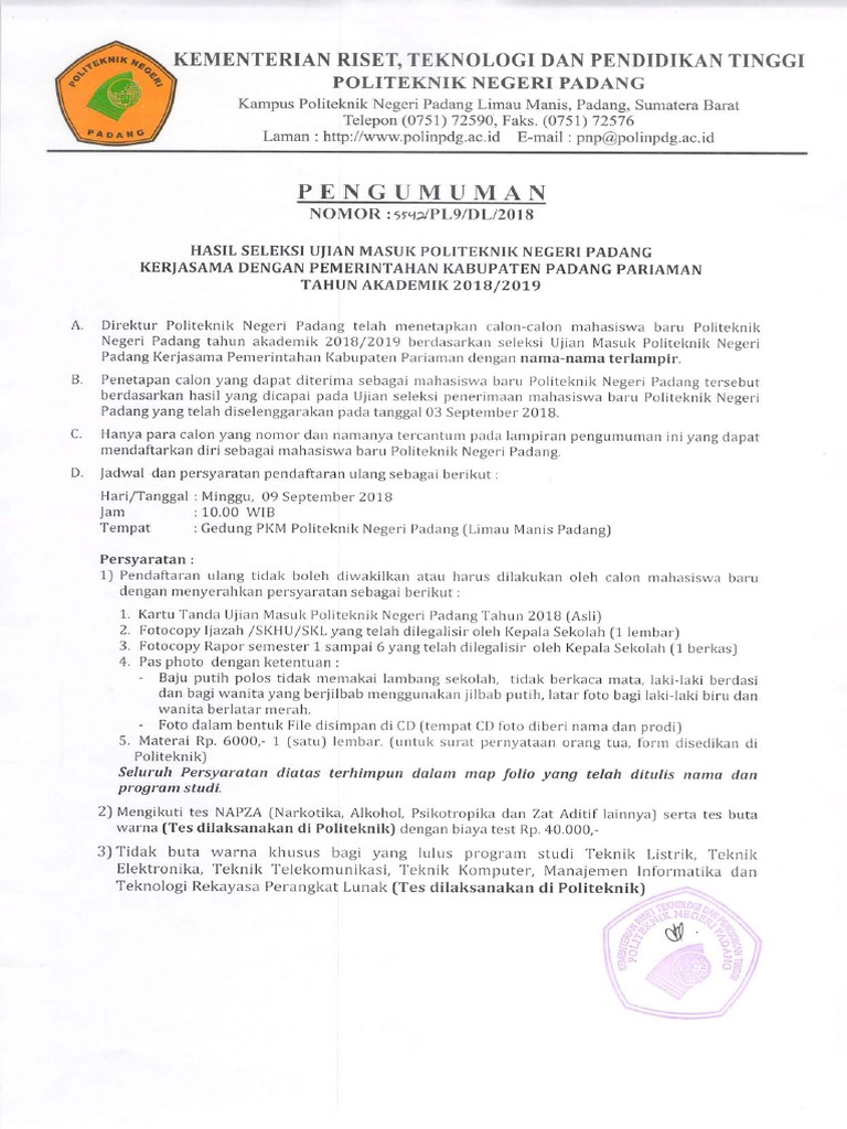 PNP Pemkab Padang Pariaman | PDF